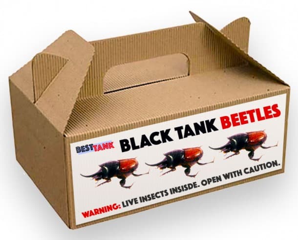 BestTank Industries Announces Black Tank Beetles